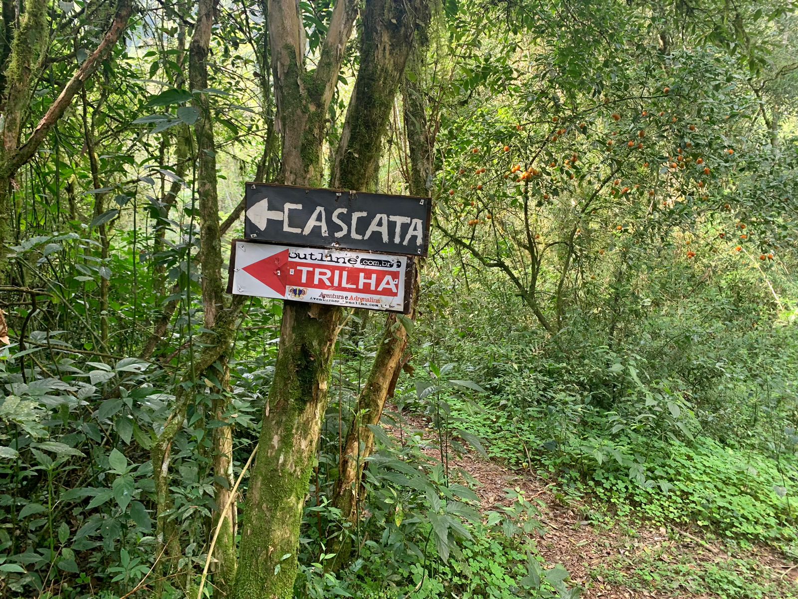 O QUE FAZER EM ESTRELA VELHA – Conhecendo o Rio Grande do Sul