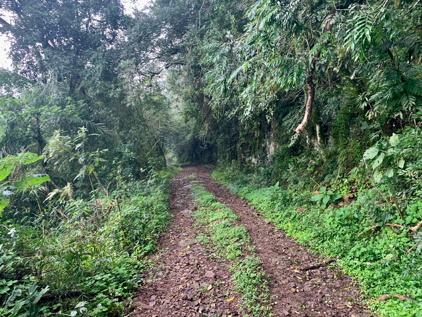 O QUE FAZER EM ESTRELA VELHA – Conhecendo o Rio Grande do Sul
